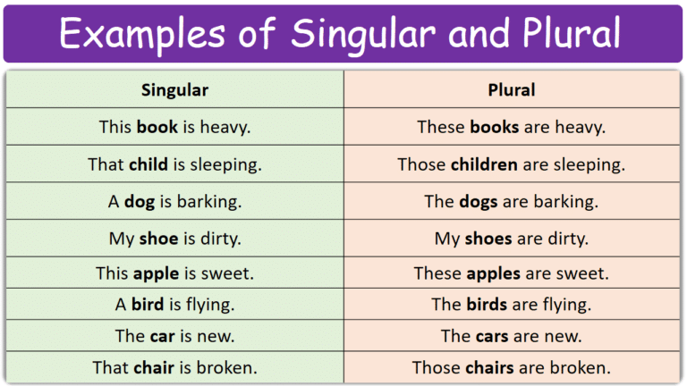 100 Examples of Singular and Plural in English - MR MRS ENGLISH