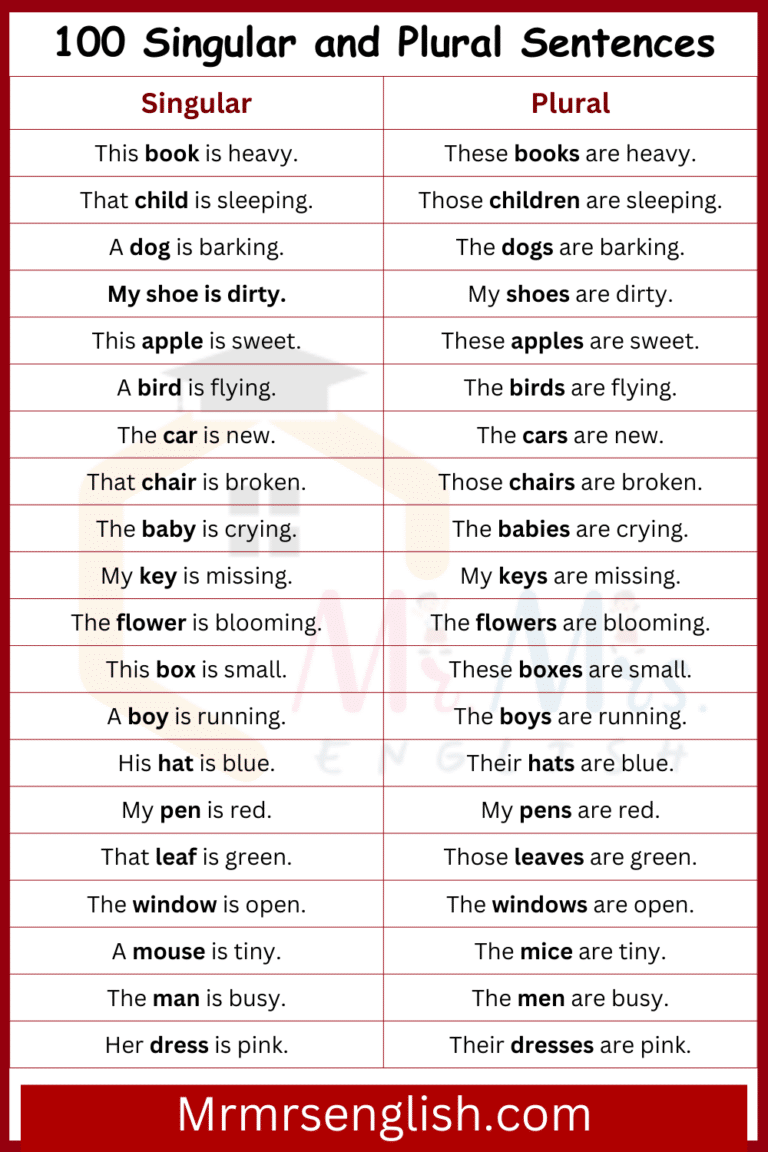 100 Examples of Singular and Plural in English - MR MRS ENGLISH