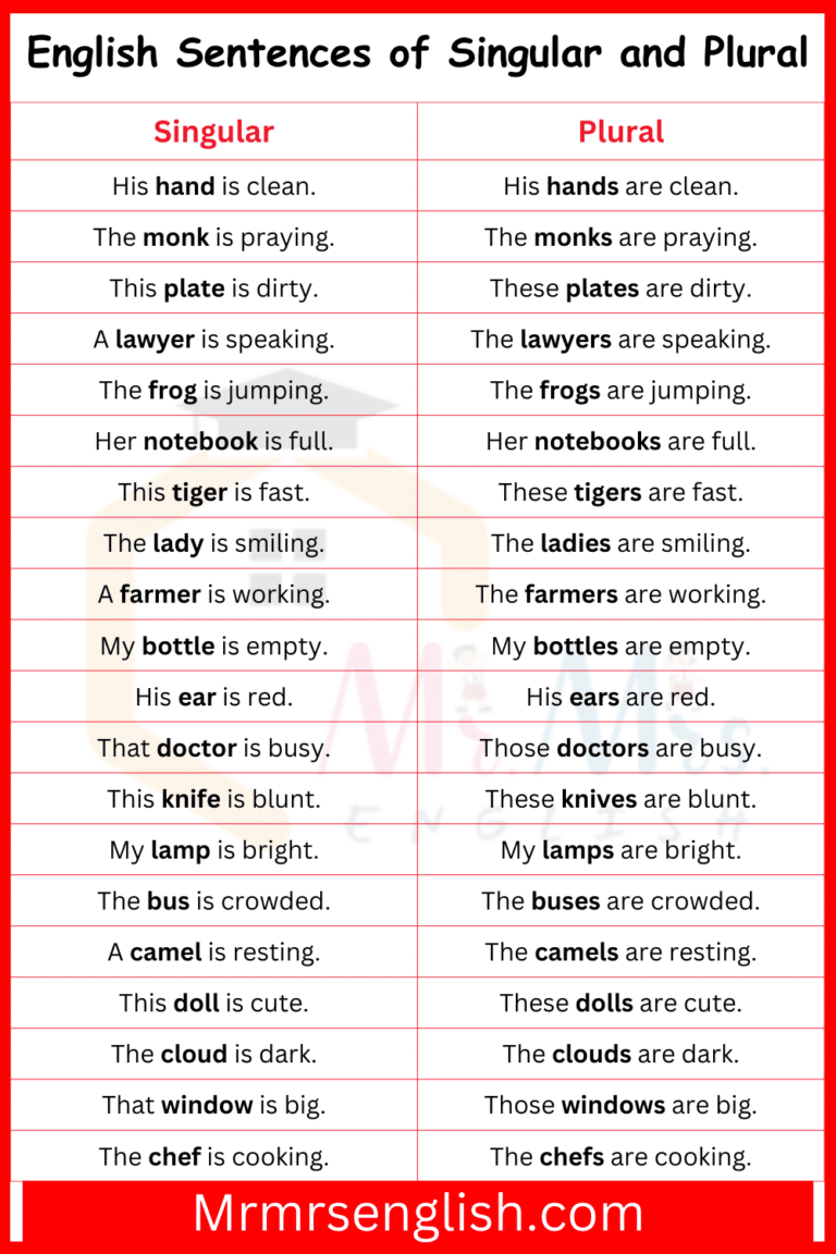 100 Examples of Singular and Plural in English - MR MRS ENGLISH