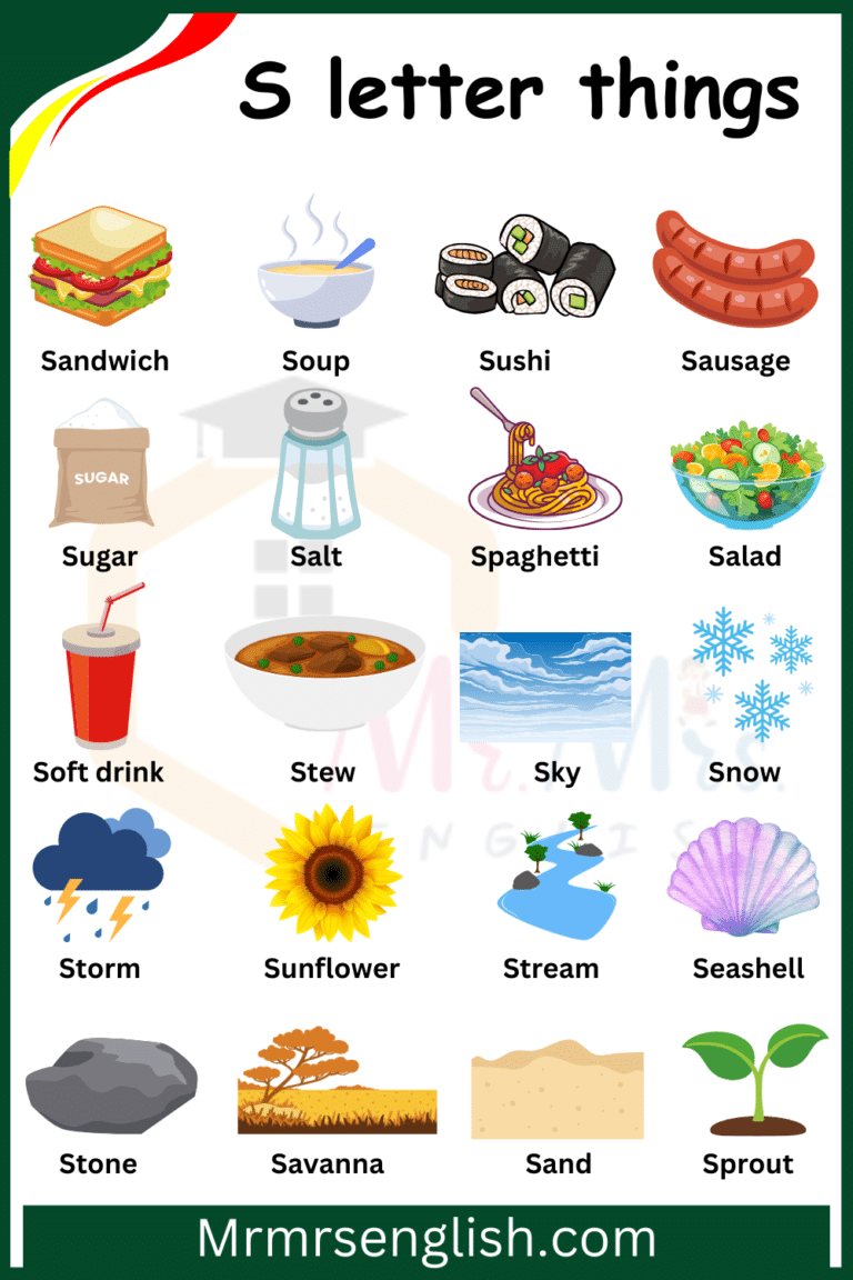 S letter Things Names in English for Kids - MR MRS ENGLISH