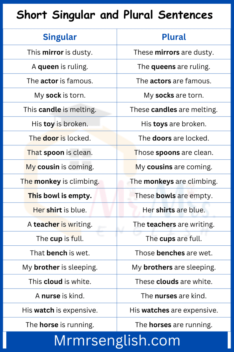 100 Examples of Singular and Plural in English - MR MRS ENGLISH