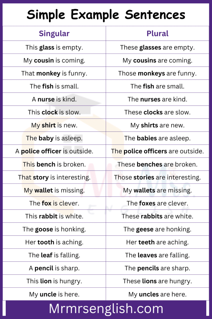 100 Examples of Singular and Plural in English - MR MRS ENGLISH