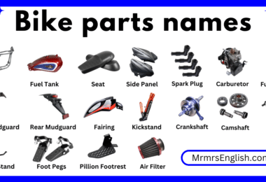Different Types of Beans Names in English and Their pictures - MR MRS ...