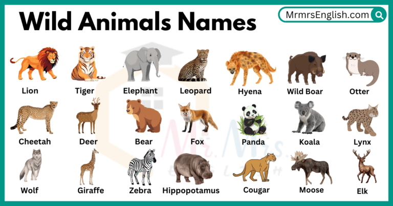 80 Most Common Wild Animals Names in English with Pictures - MR MRS ENGLISH