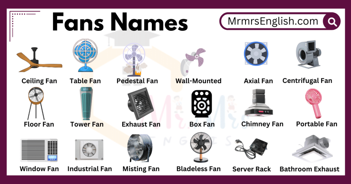 Different Types of Fans Names with their Pictures - MR MRS ENGLISH