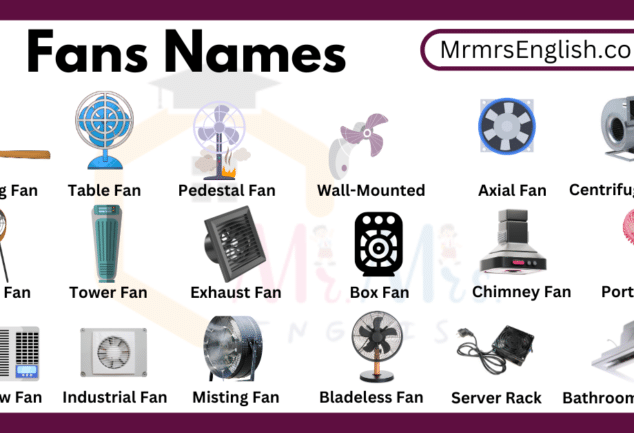 Sea Animals Name in English with Images - MR MRS ENGLISH