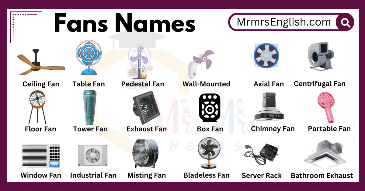 Different Types of Fans Names with their Pictures - MR MRS ENGLISH