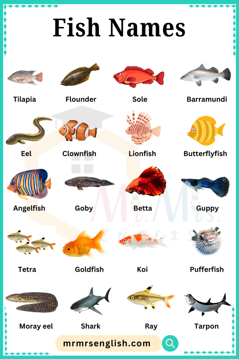 Different Types of Fish names in English and their Pictures - MR MRS ...