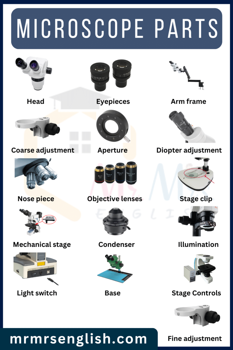 Microscope parts names in English and their Pictures - MR MRS ENGLISH