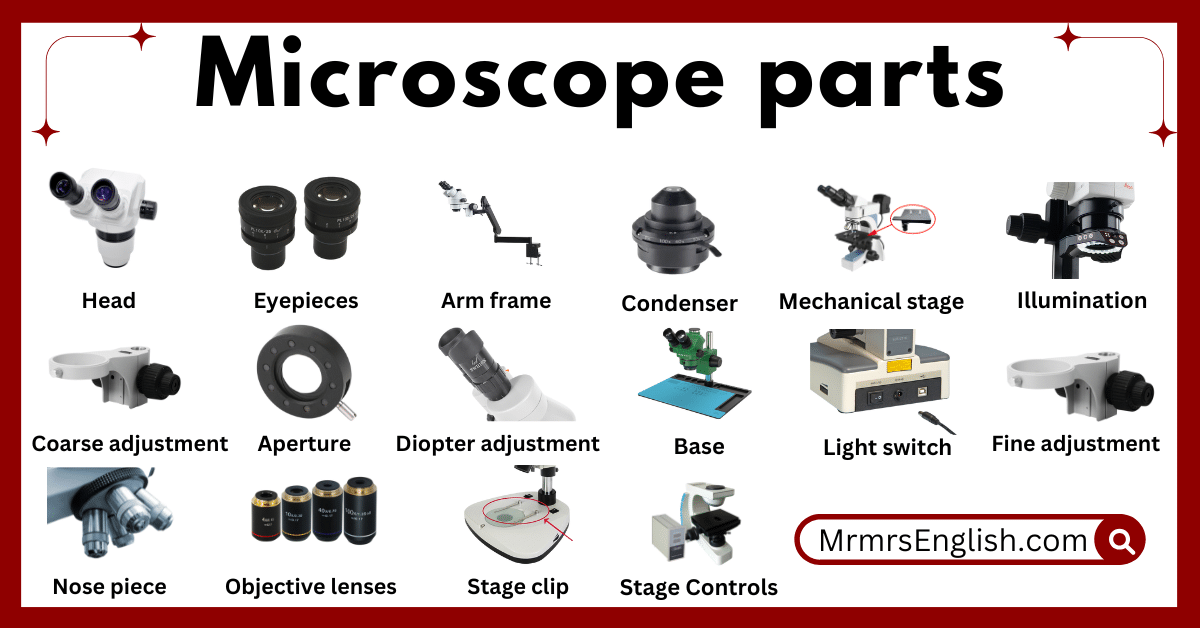 Microscope parts names in English and their Pictures - MR MRS ENGLISH