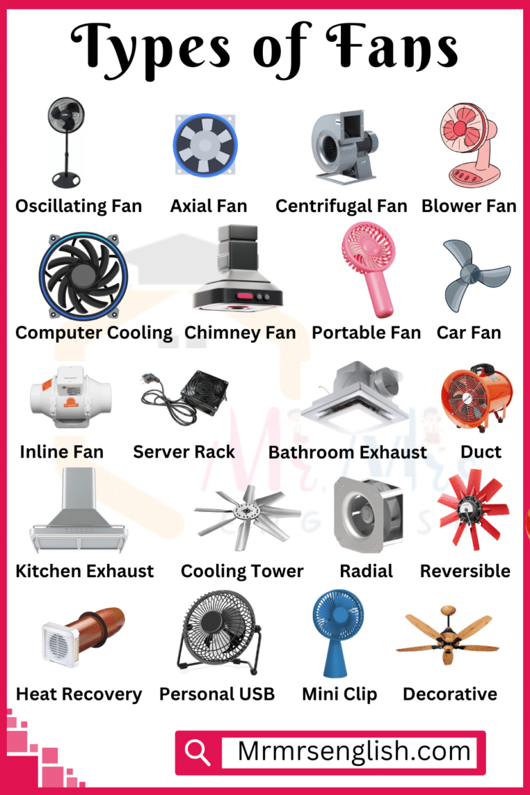 Different Types of Fans Names with their Pictures - MR MRS ENGLISH