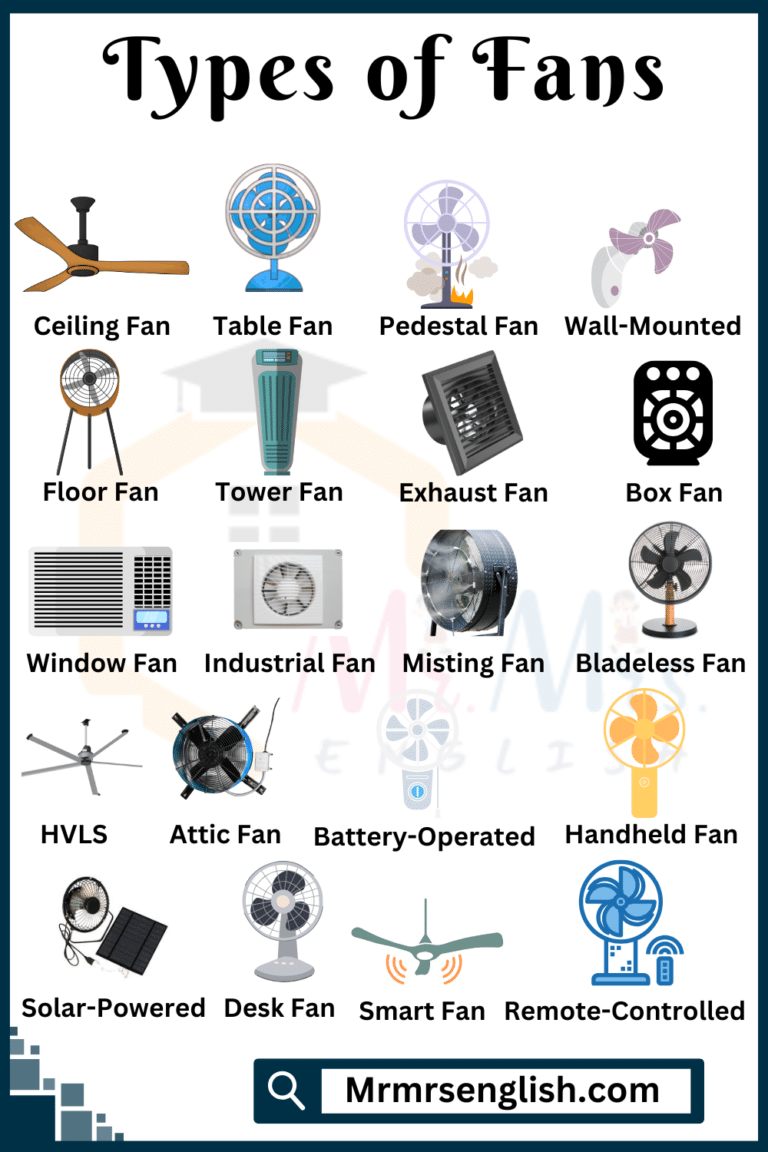Different Types of Fans Names with their Pictures - MR MRS ENGLISH