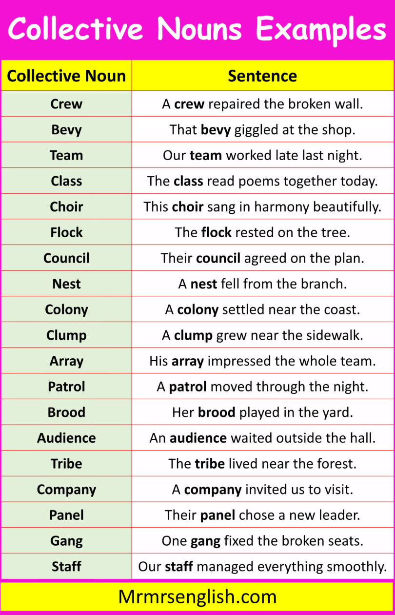120 Collective Nouns in Sentences in English with Pictures - MR MRS ENGLISH