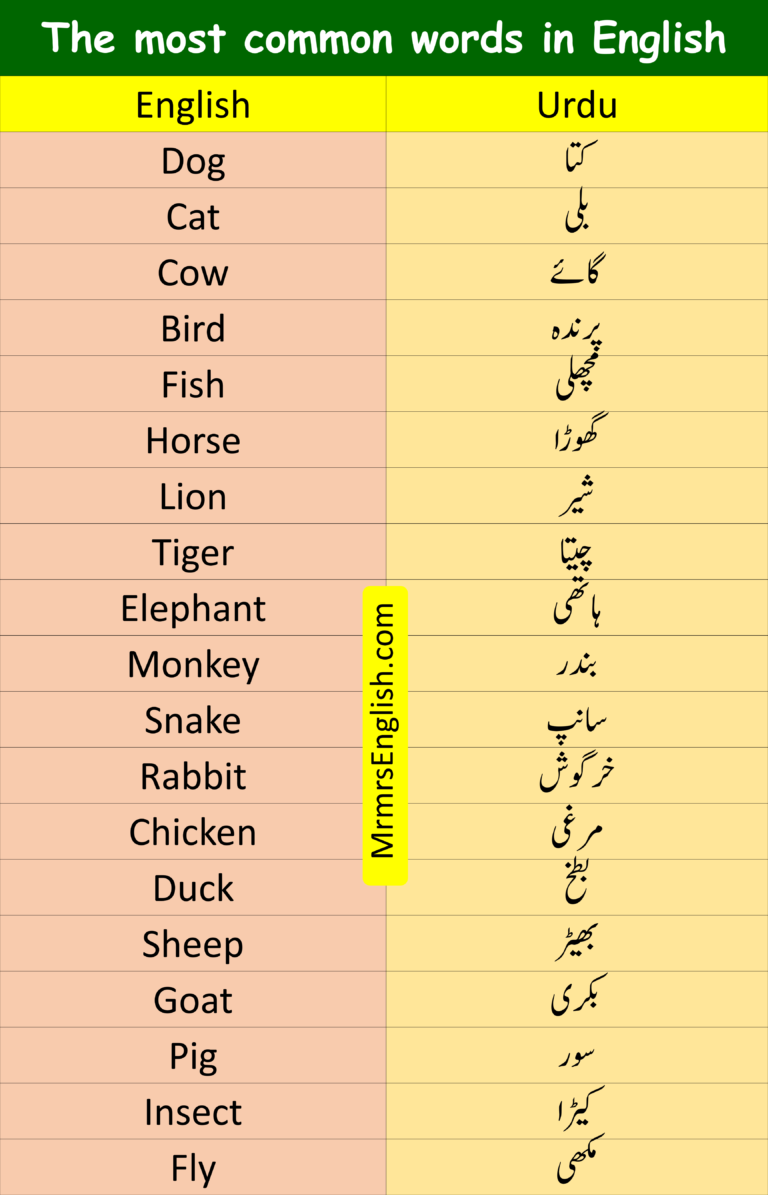 500 Common words meanings in English to Urdu with Pictures - MR MRS ENGLISH