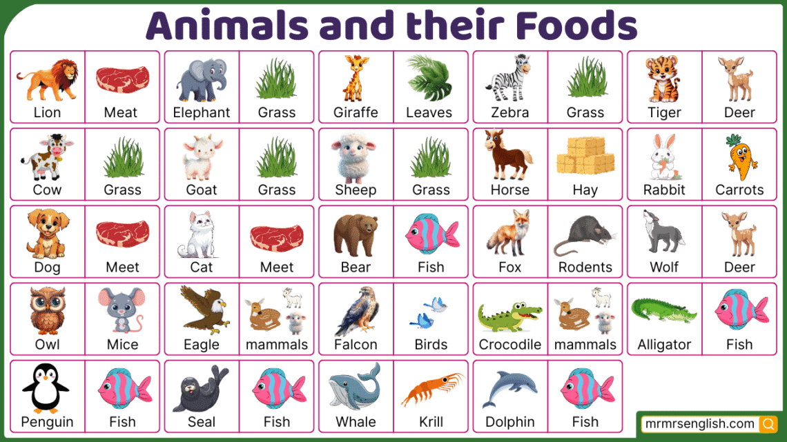 Animals Foods Names in English with Their Pictures - MR MRS ENGLISH