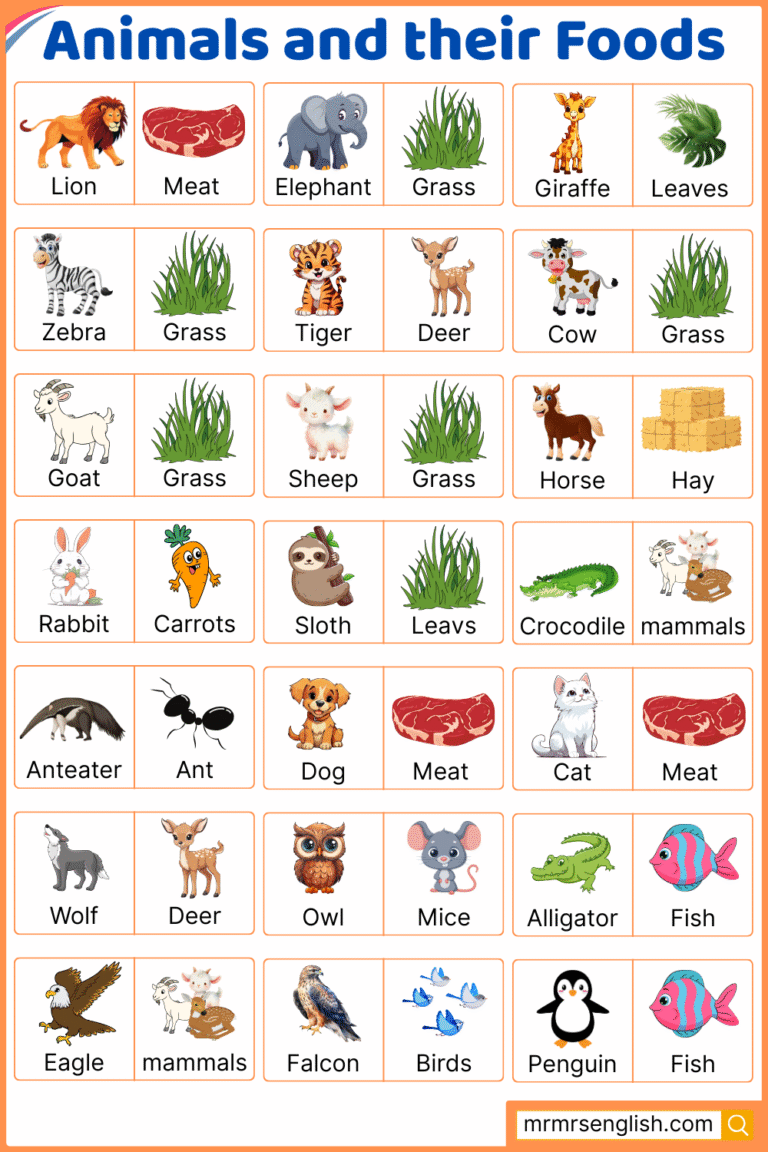 Animals Foods Names in English with Their Pictures - MR MRS ENGLISH