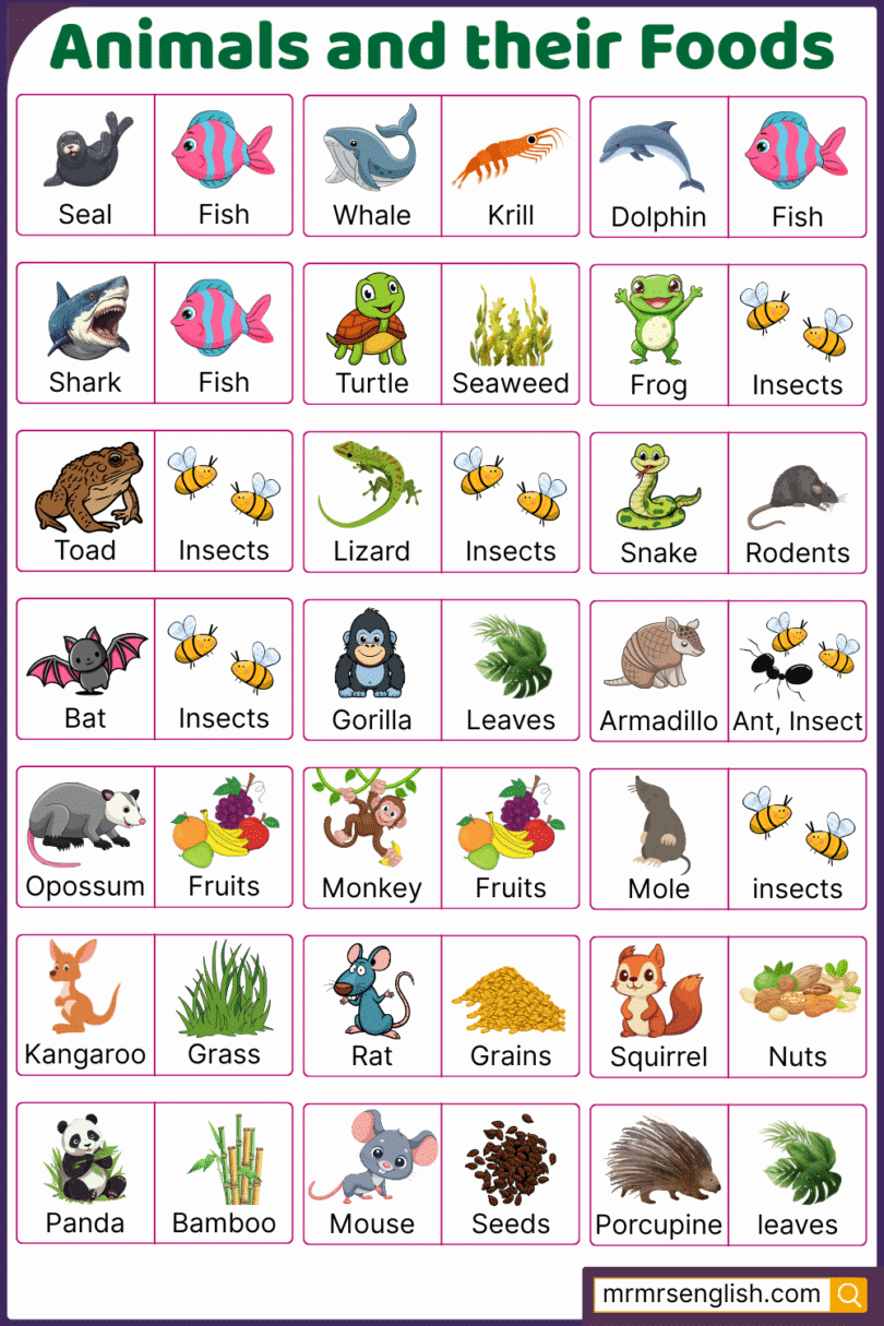 Animals Foods Names in English with Their Pictures - MR MRS ENGLISH