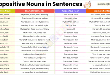 100 Singular Nouns Example Sentences in English with Pictures - MR MRS ...
