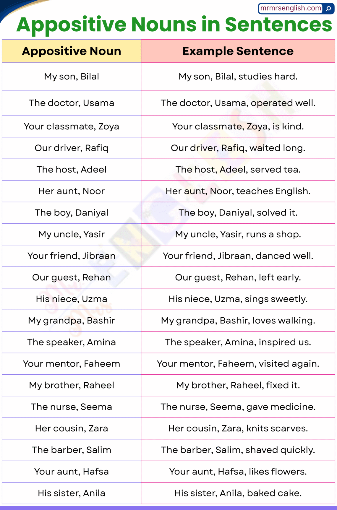 Appositive Nouns Examples Sentences in English with Pictures - MR MRS ...