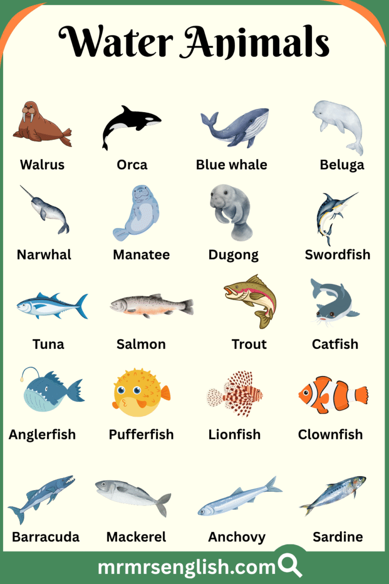 Water Animals Names in English with their Pictures - MR MRS ENGLISH