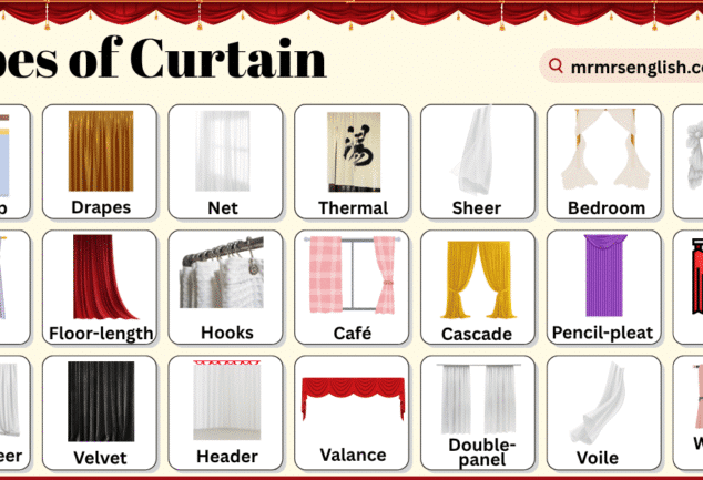 120 Collective nouns in Sentences in English with Pictures - MR MRS ENGLISH