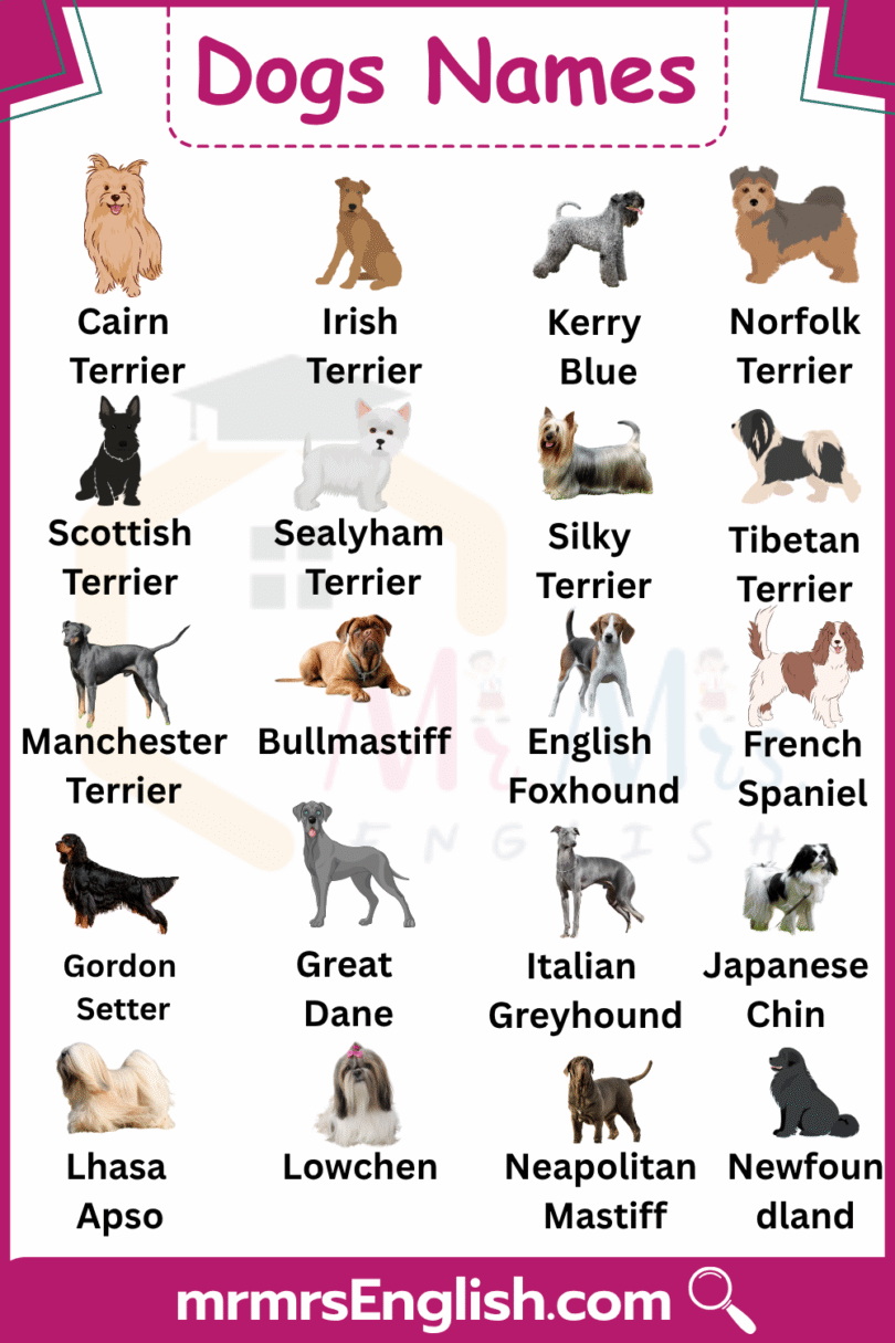 Different Types of Dogs Names in English with their Pictures - MR MRS ...