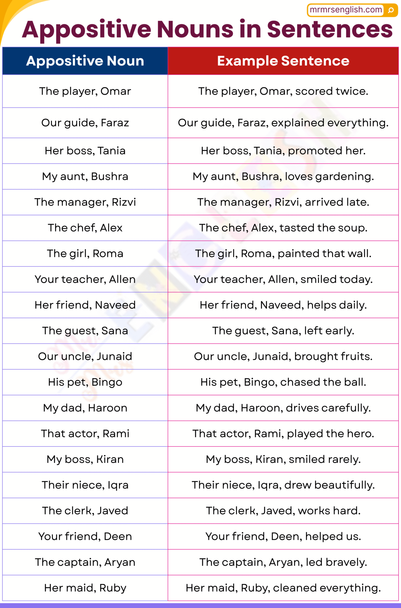 Appositive Nouns Examples Sentences in English with Pictures - MR MRS ...