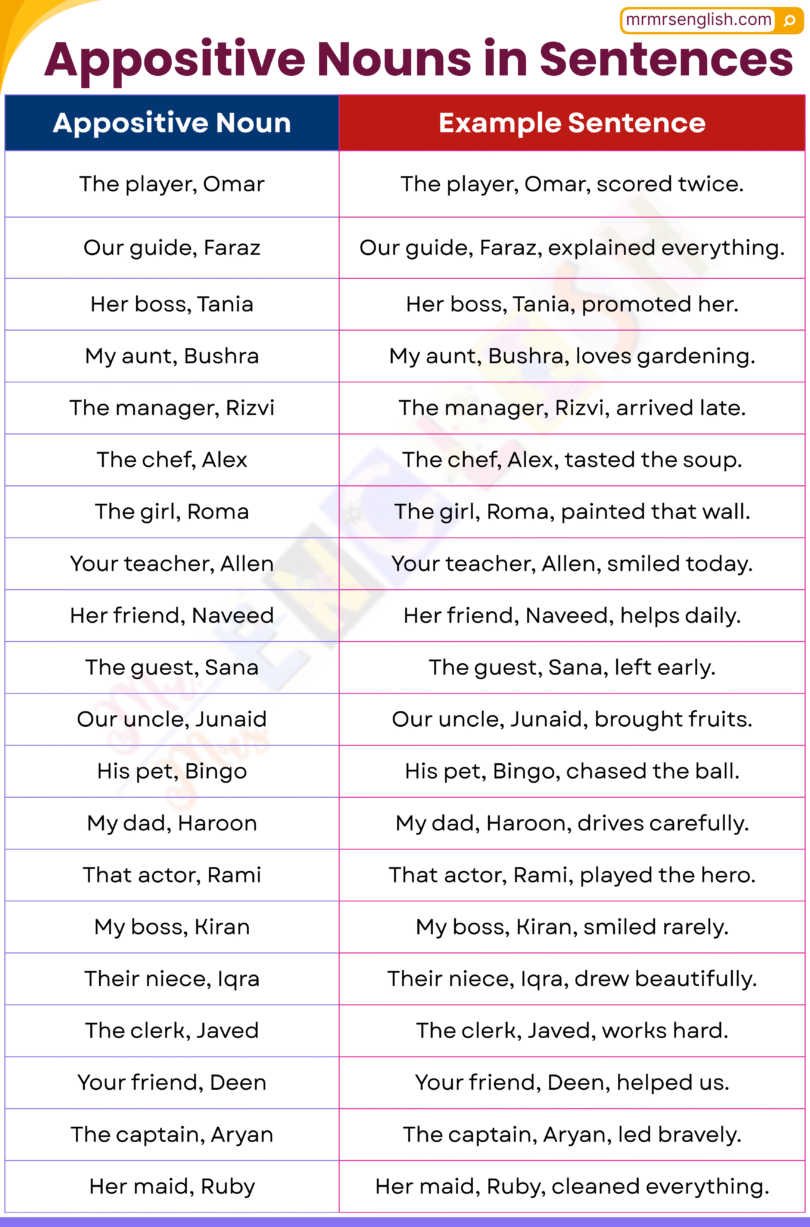 Appositive Nouns Examples Sentences in English with Pictures - MR MRS ...