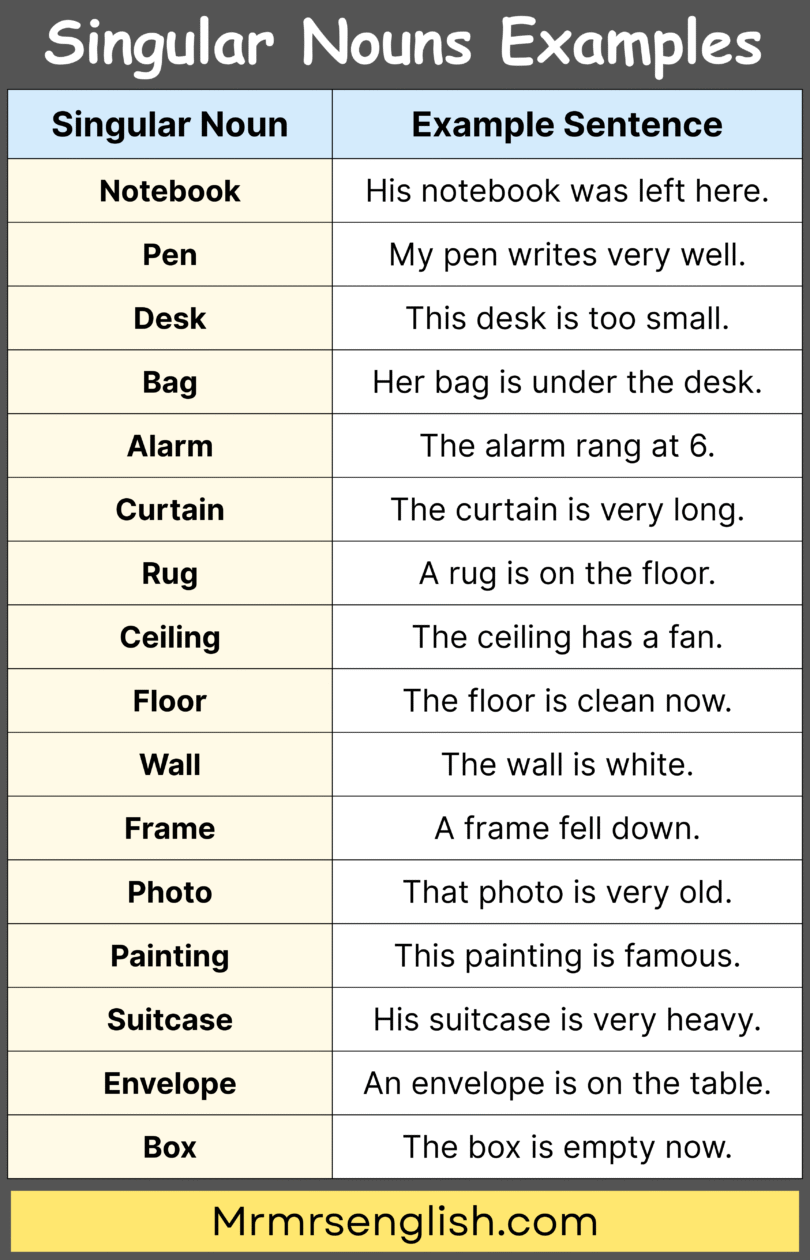 100 Singular Nouns Example Sentences in English with Pictures - MR MRS ...