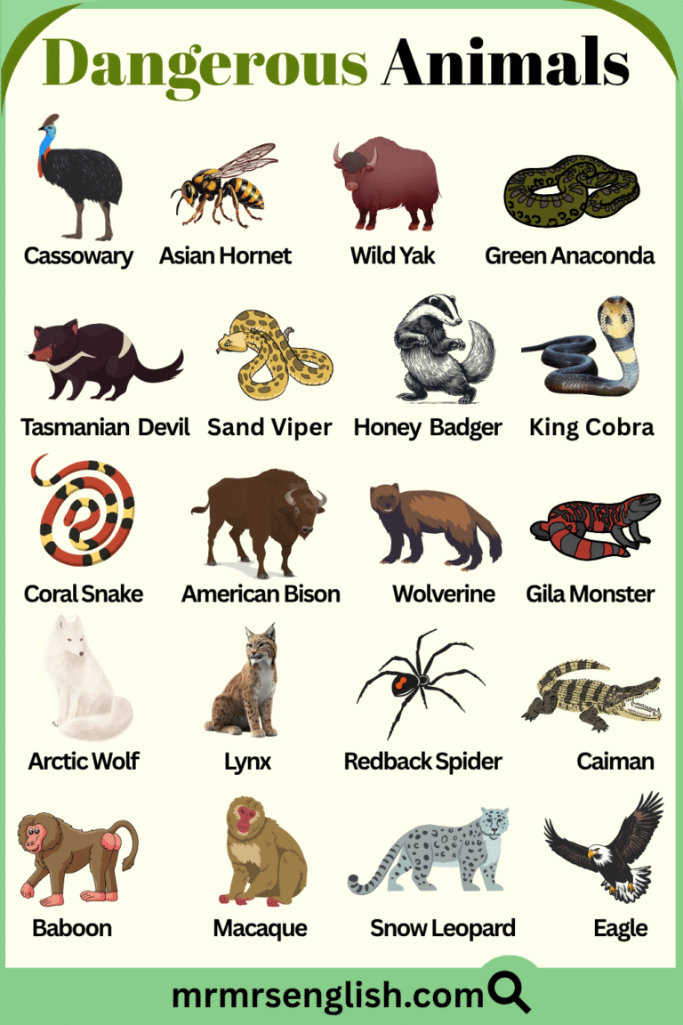 Dangerous Animals Names in English with Their Pictures - MR MRS ENGLISH