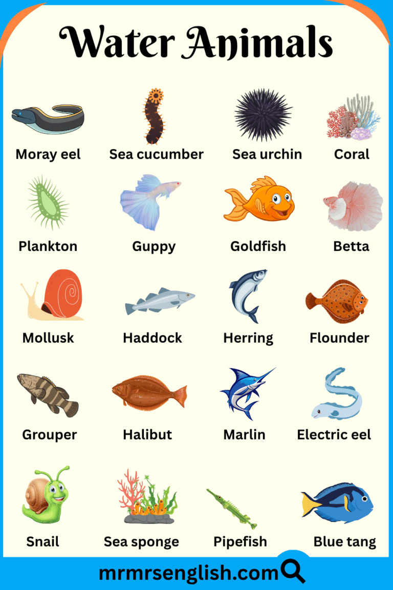 Water Animals Names in English with their Pictures - MR MRS ENGLISH
