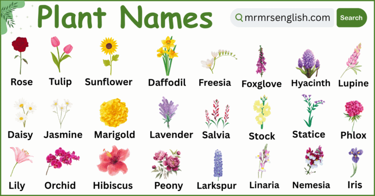 Plants Names in English with Their Pictures - MR MRS ENGLISH