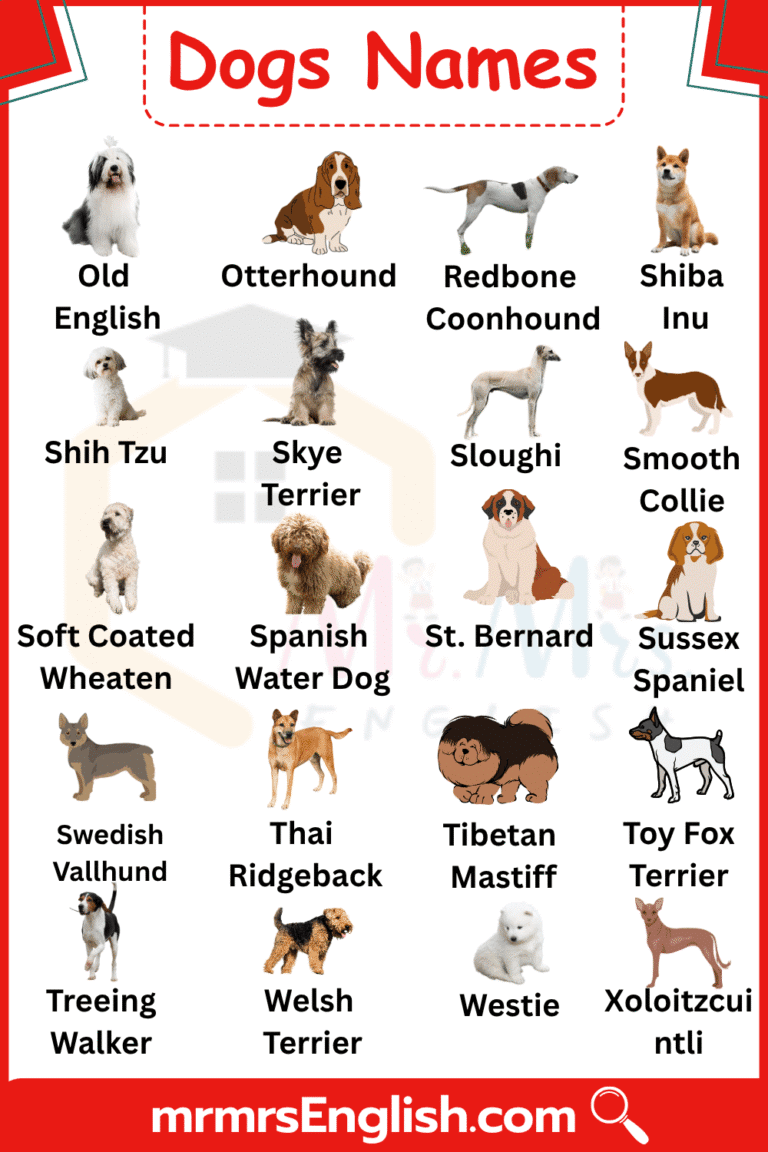 Different Types of Dogs Names in English with their Pictures - MR MRS ...
