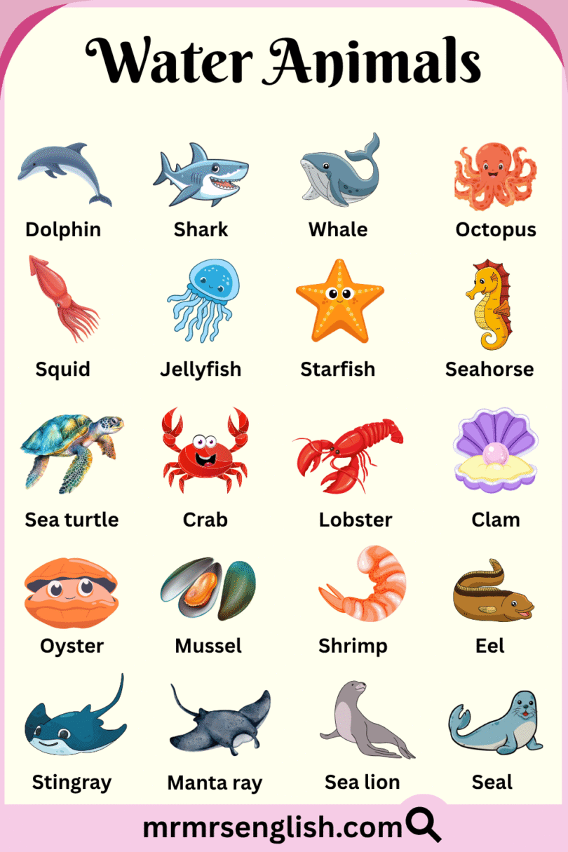 Water Animals Names in English with their Pictures - MR MRS ENGLISH