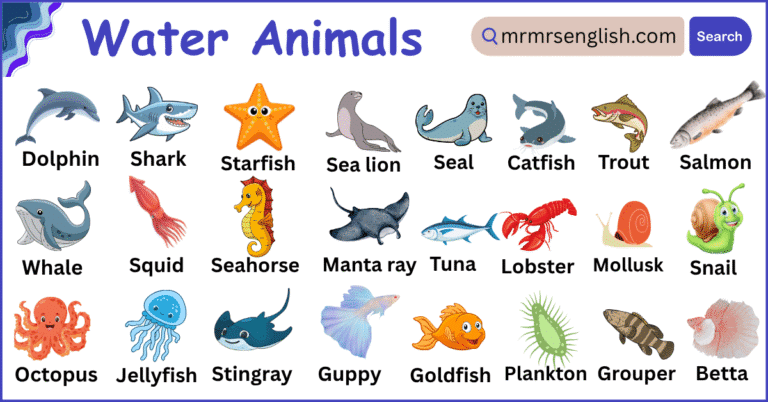 Water Animals Names in English with their Pictures - MR MRS ENGLISH