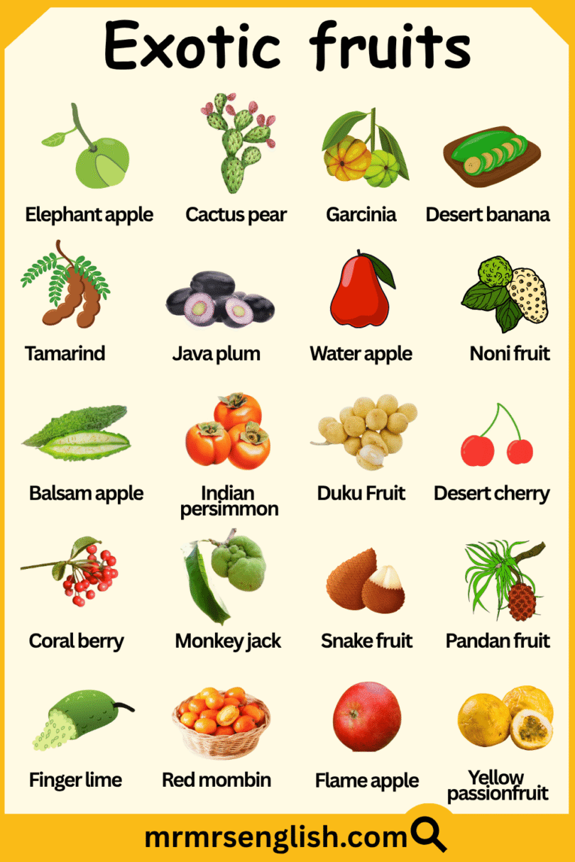 Exotic Fruits Names in English with Their Pictures - MR MRS ENGLISH