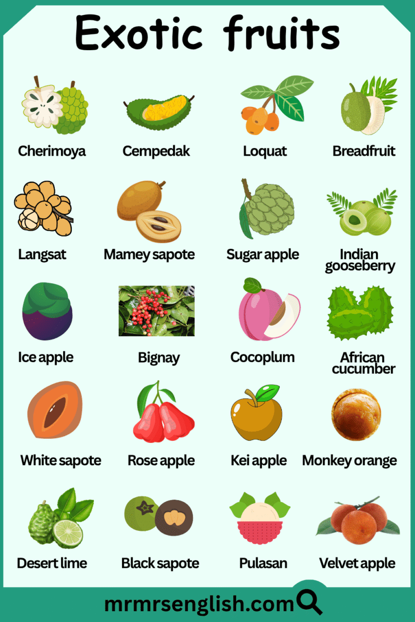 Exotic Fruits Names in English with Their Pictures - MR MRS ENGLISH