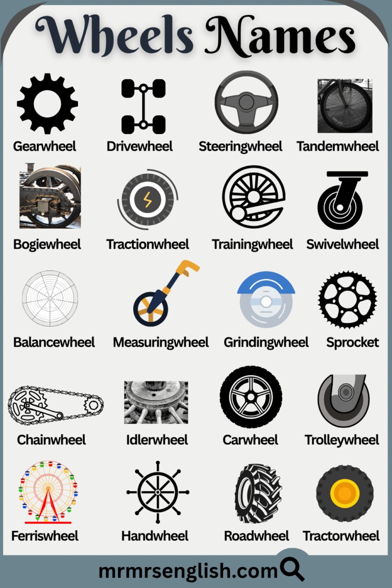 Different Types of Wheels Names in English with their Pictures - MR MRS ...