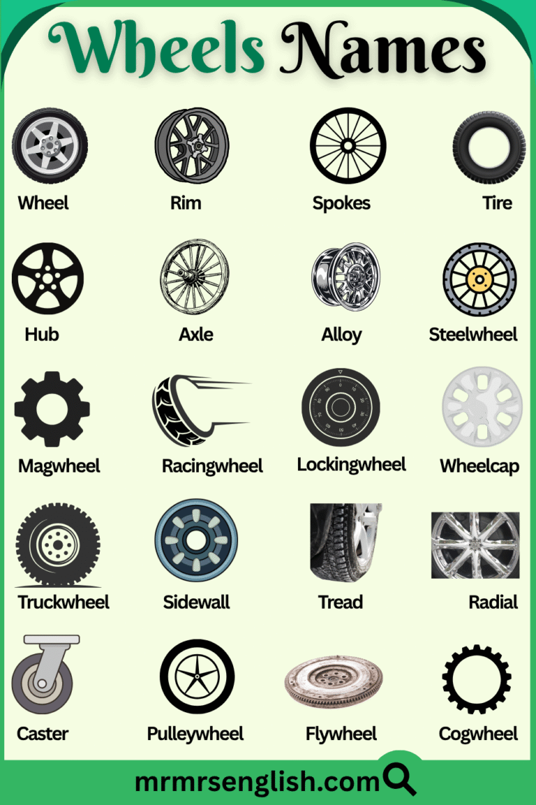 Different Types of Wheels Names in English with their Pictures - MR MRS ...