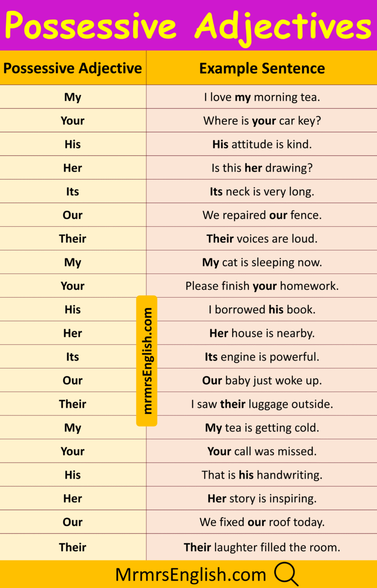 Possessive Adjectives Examples Sentences in English and Pictures - MR ...