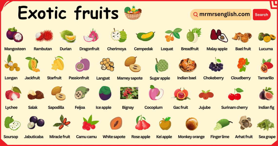 Exotic Fruits Names In English With Their Pictures Mr Mrs English
