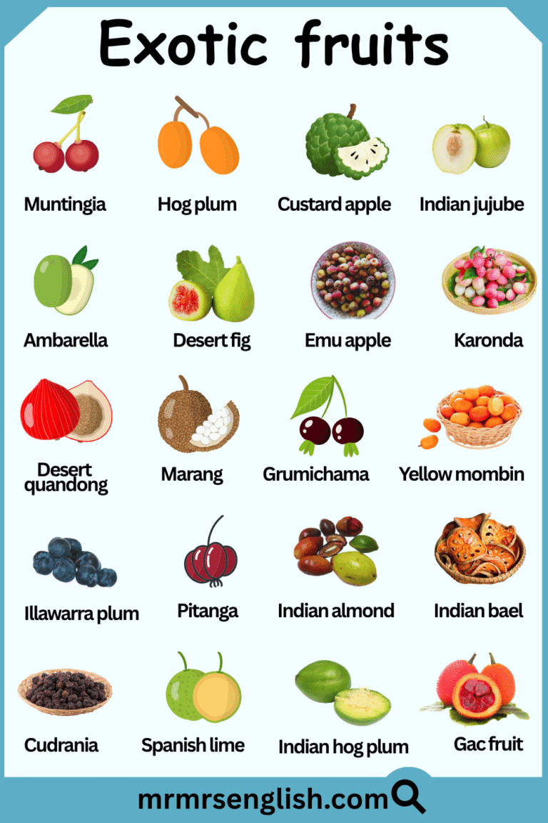 Exotic Fruits Names in English with Their Pictures - MR MRS ENGLISH