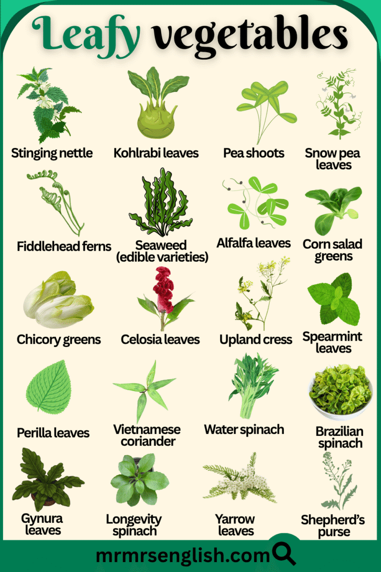 80 Leafy Vegetables Names in English with their Pictures - MR MRS ENGLISH