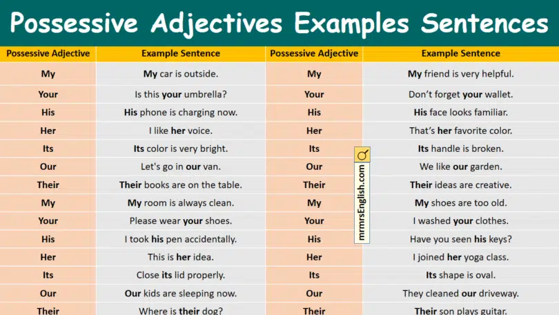 When To Use Possessive Pronouns And Possessive Adjectives