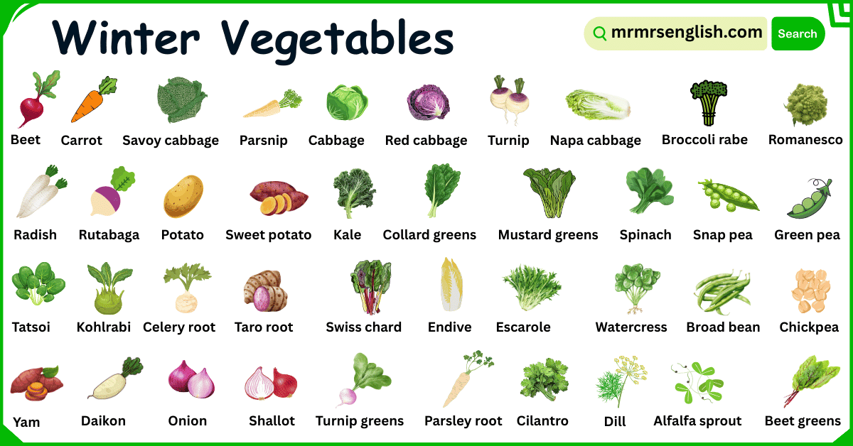 100 Winter Vegetables Names in English with Their Pictures - MR MRS ENGLISH
