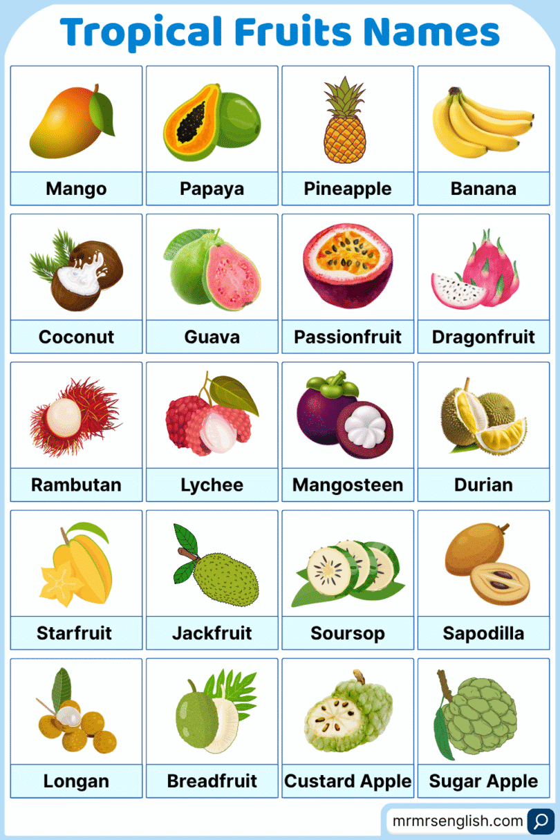 Tropical Fruits Names in English with Their Pictures - MR MRS ENGLISH