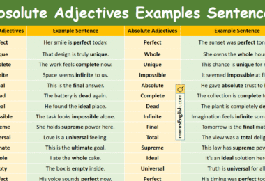 Quantitative Adjectives Examples Sentences in English with Images - MR ...
