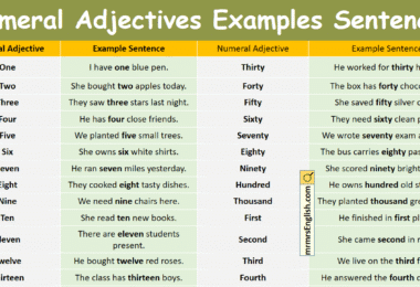 Descriptive Adjectives Examples Sentences in English with Pictures - MR ...