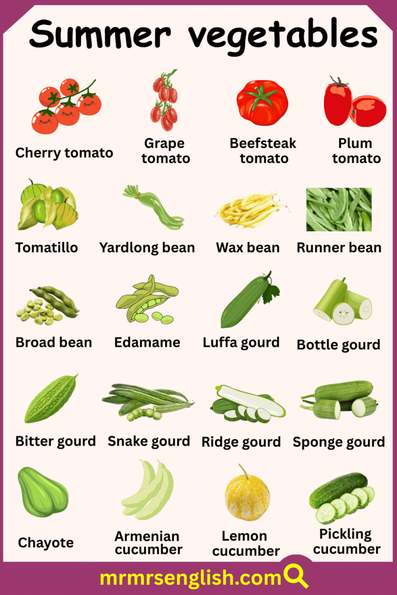 Summer Vegetables Names in English with Their Pictures - MR MRS ENGLISH