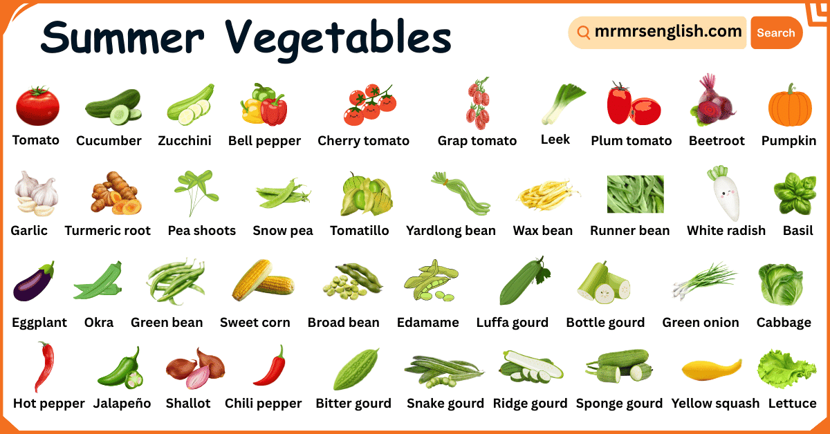 Summer Vegetables Names in English with Their Pictures - MR MRS ENGLISH